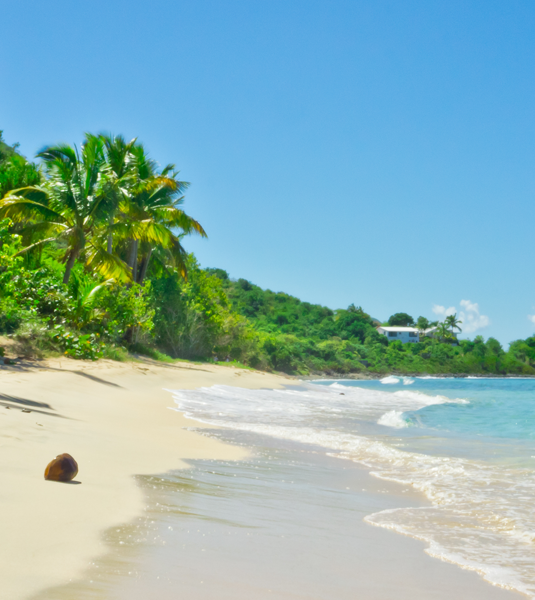 America And Caribbean Discovery - R701 | 75 nights | 3rd Jan 2027 ...
